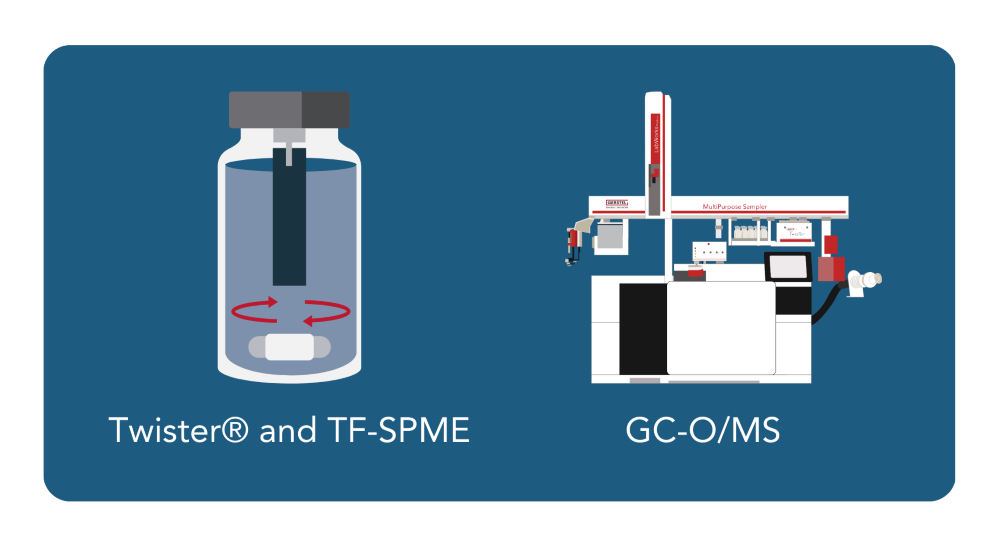Cheers to Choice: Exploring the Sensory Profiles Behind Alcoholic and ...